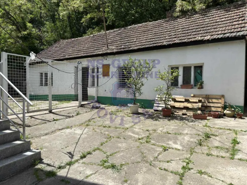 Novi Rakovac, Rakovac, Železnička