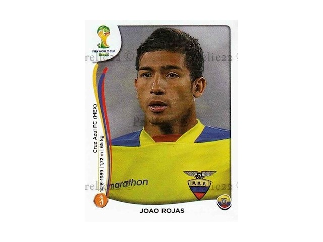 BRAZIL Brasil FIFA WC 2014 sličica broj 368, Panini