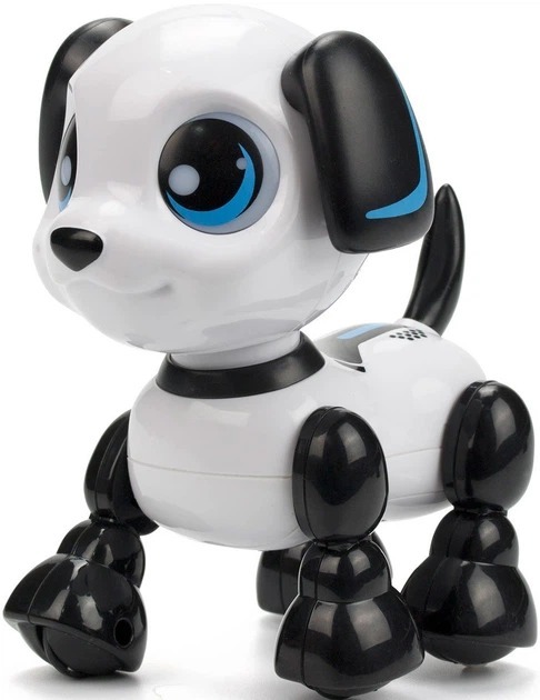 ROBO PASID: EK000856606