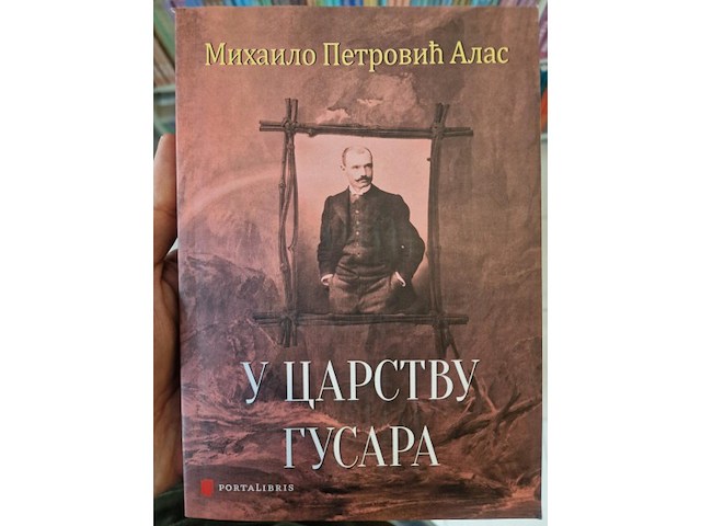 Mihailo Petrović Alas - U carstvu gusara
