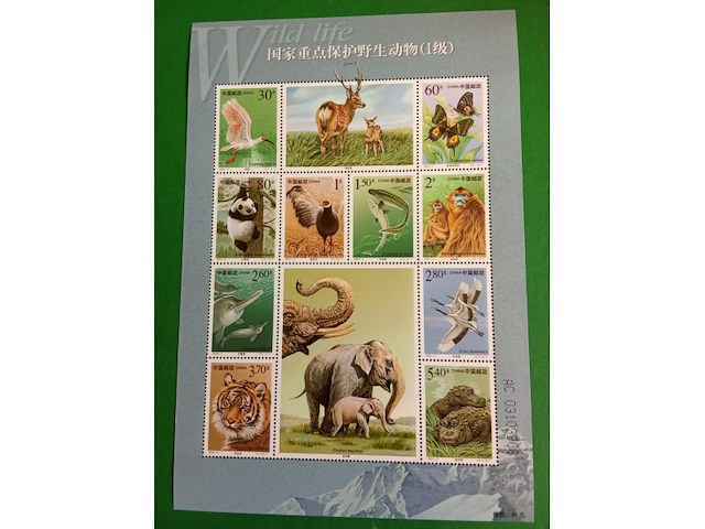 2000 fauna KINA