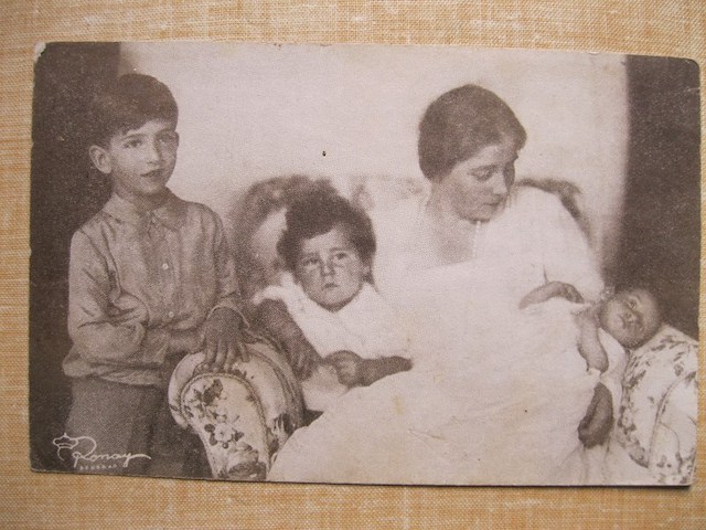Kraljica Marija, Prestolonaslednik i Kraljevići