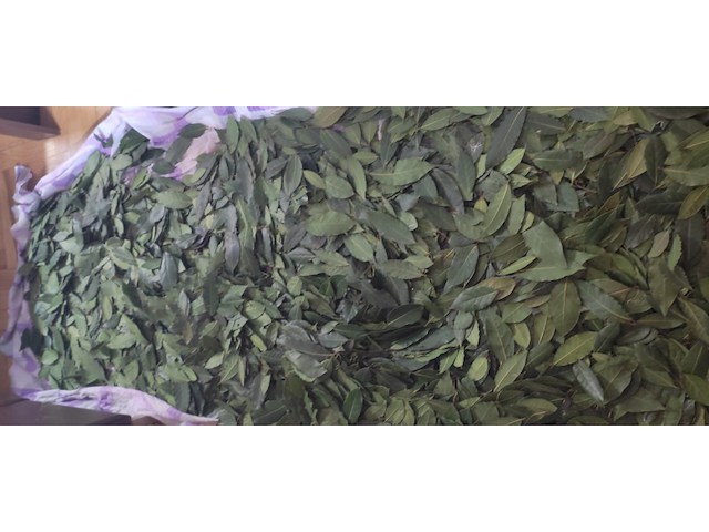 lisce mediteranskog lovora s eko stanista,100gr