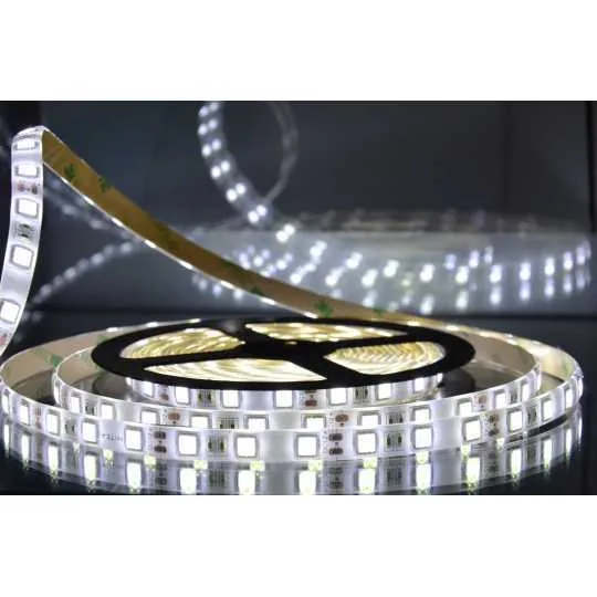 MLD-5050-60 14 4W/1m 12V 6500K IP65 5m kotur SMD LED traka 60 LED/1m Mitea Lighting
