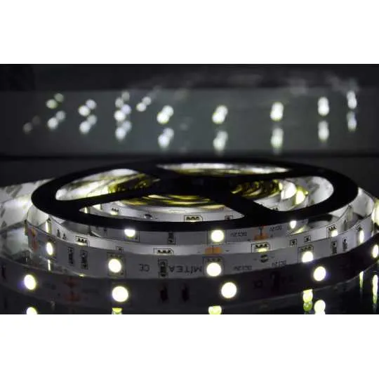 MLR-5050-30 7 2W/1m 12V 6500K IP20 5m kotur SMD LED traka 30 LED/1m Mitea Lighting