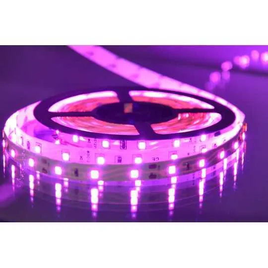 MLR-2835-60 4 8W/1m 12V pink IP20 5m kotur SMD LED traka 60 LED/1m Mitea Lighting