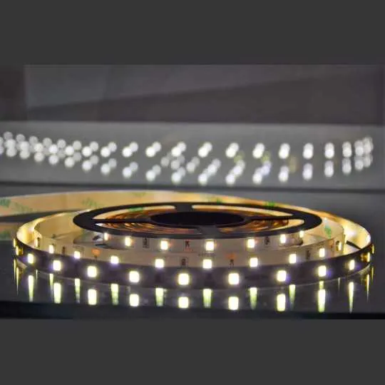 MLR-2835-60 4 8W/1m 12V 6500K IP20 5m kotur SMD LED traka 60 LED/1m Mitea Lighting