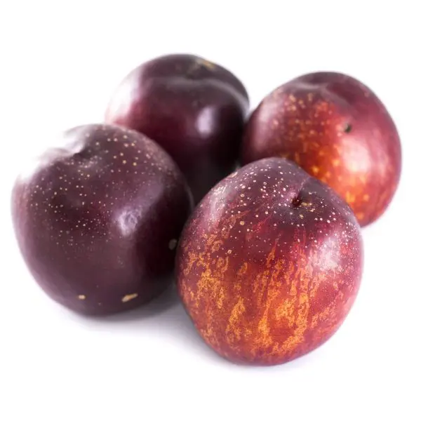 NEKTARINE