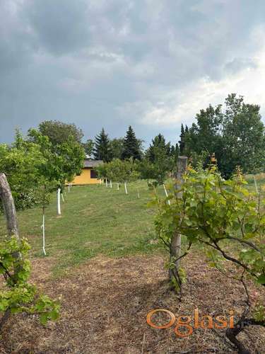 Čortanovci vikend kuća sa placem 1148m2 HITNO!