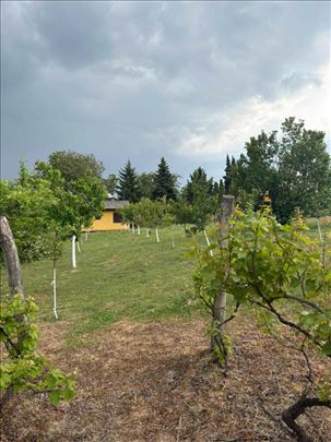 Čortanovci vikend kuća sa placem 1148m2 Hitno.