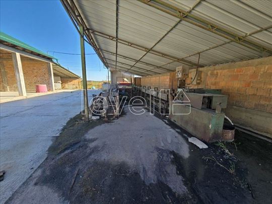 Lokal,Veternik,Veternik,kv: 698.00