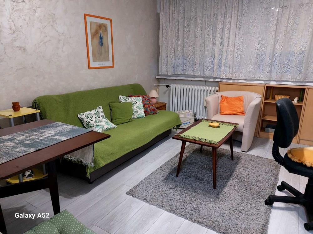 Triše Kaclerovića, Jednosoban stan za izdavanje, 20m2, 350€