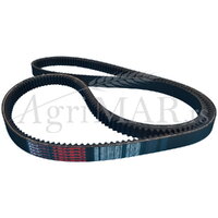 38x3160 La var. klinasti "GATES" [GTS 0211256]