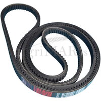 32x4300 La var. nazub. "DUNLOP" (CL 603122.0)