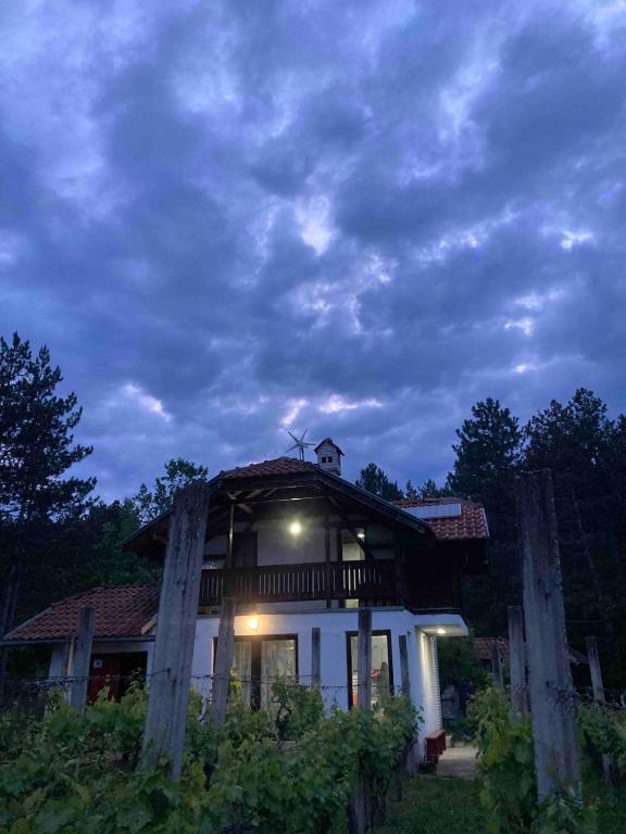 Vila Borjak