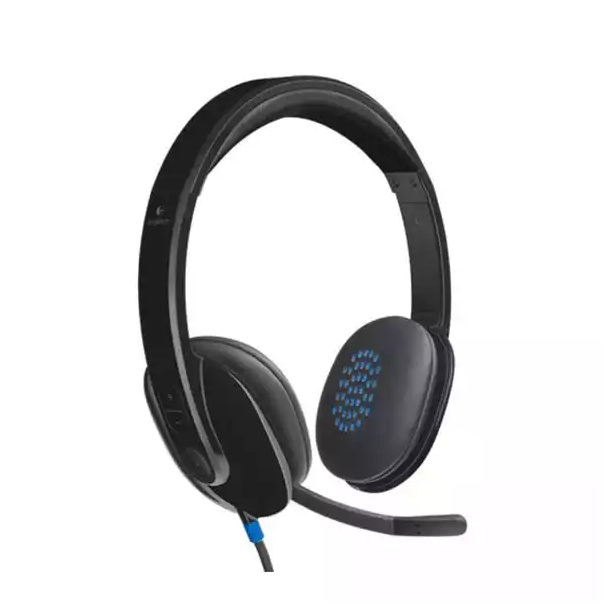 Slušalice sa mikrofonom Logitech H540 USB