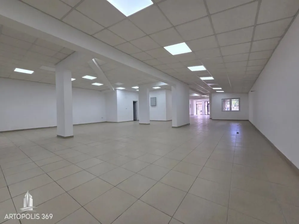 Izdavanje, poslovni prostor, 310m², Dušanovac, Voždovac Sve Podlokacije