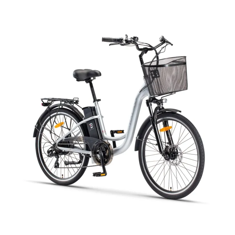 Električni bicikl 26" VALENCIA (250W 36V/10.4Ah lithium) siva MAT