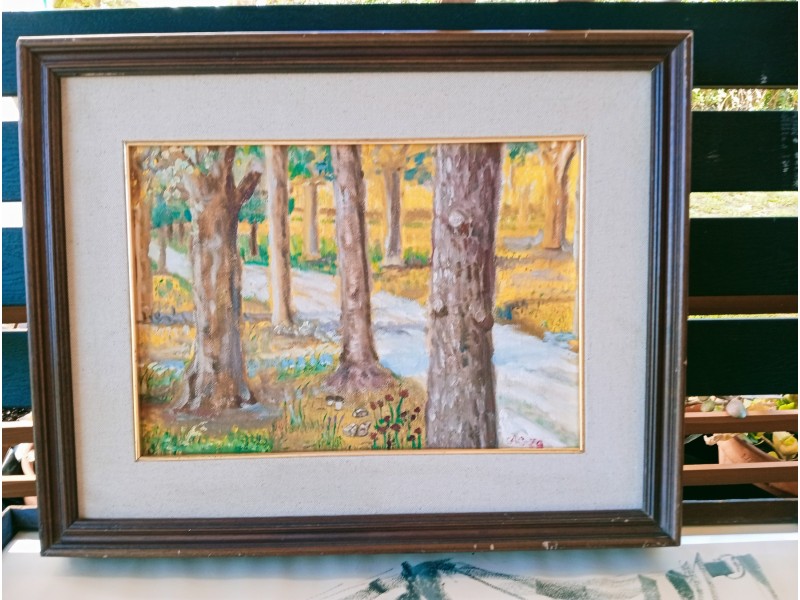 SLIKA ULJE NA PLATNU 37*48