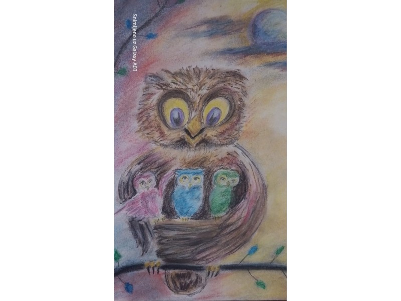 Sovići, suvi pastel na Fabriano papiru, A4