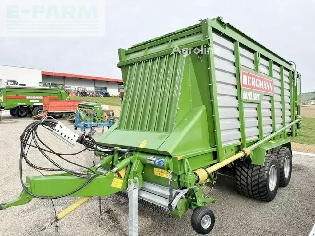 Bergmann Royal 280 s samoutovarna prikolica
