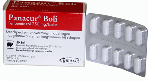 PANACUR BOLI 250MG BLISTER 10 TABLETA