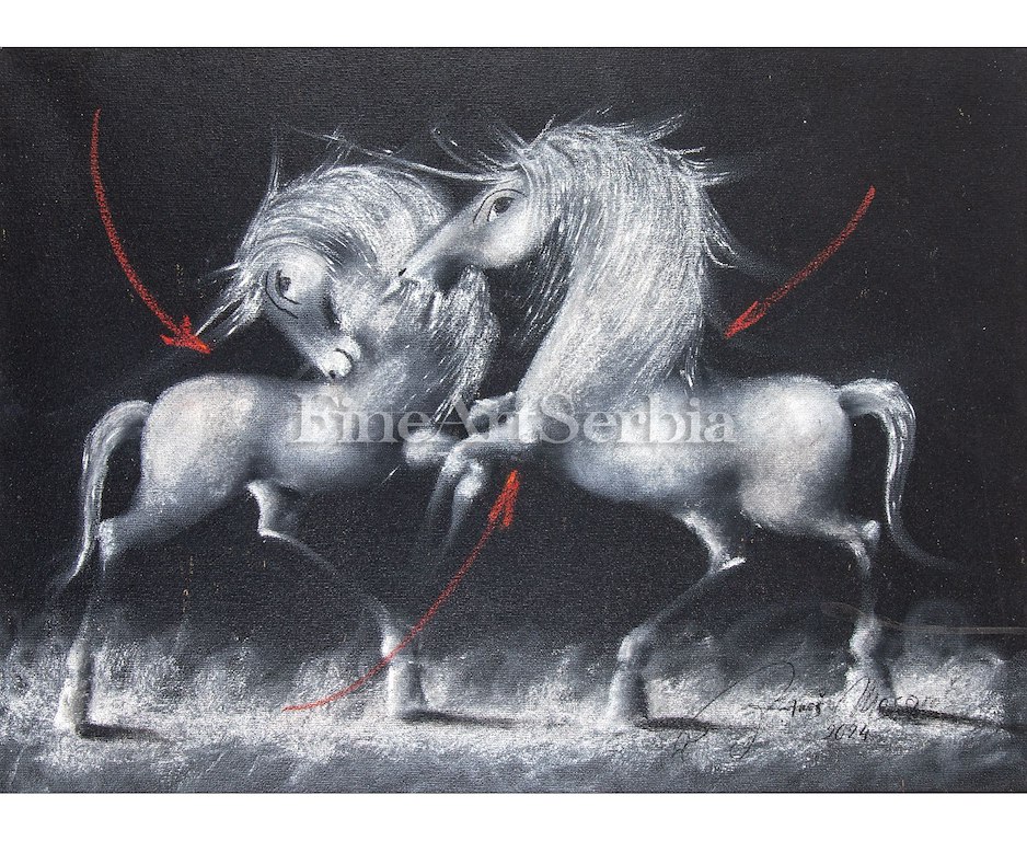 Sudar snaga - Janoš Mesaroš