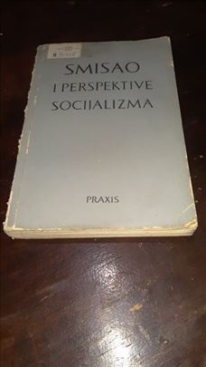 Smisao i perspektive socijalizma