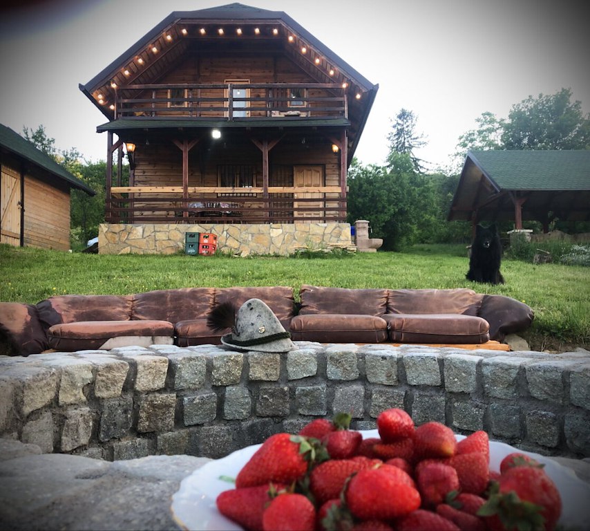 Fruš Up
