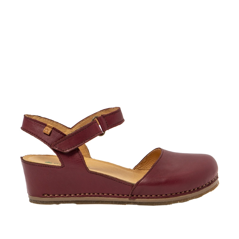 Picual N5850