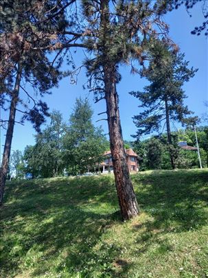Nega i pomoć starim licima Valjevo
