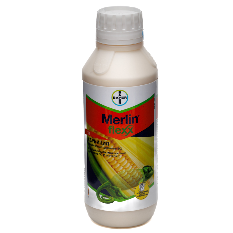 MERLIN FLEXX 1/1