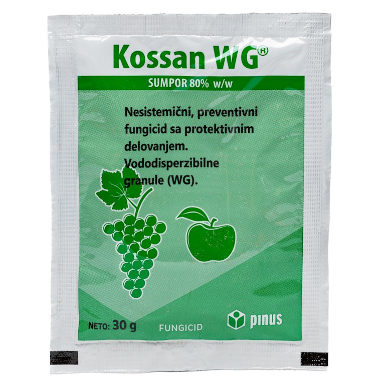 KOSSAN WG 30G