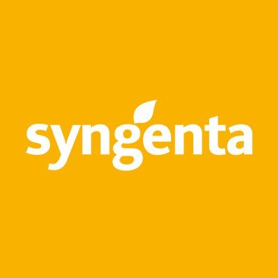 SYNGENTA KUKURUZ CHORINTOS (FAO 300) + FORCE 25.000 ZRNA