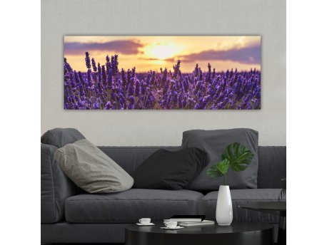 WALLXPERT Dekorativna slika YTY652199245_3080