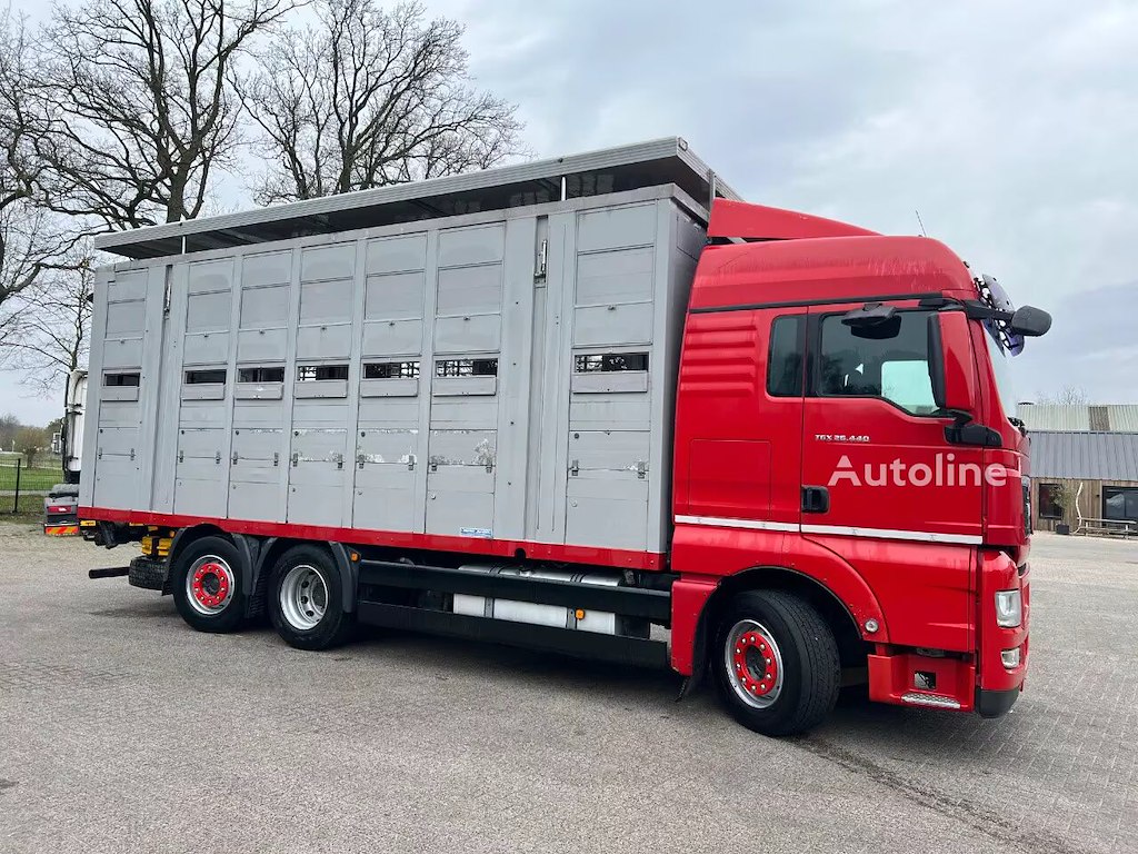 MAN TGX 26.440 kamion za prevoz stoke