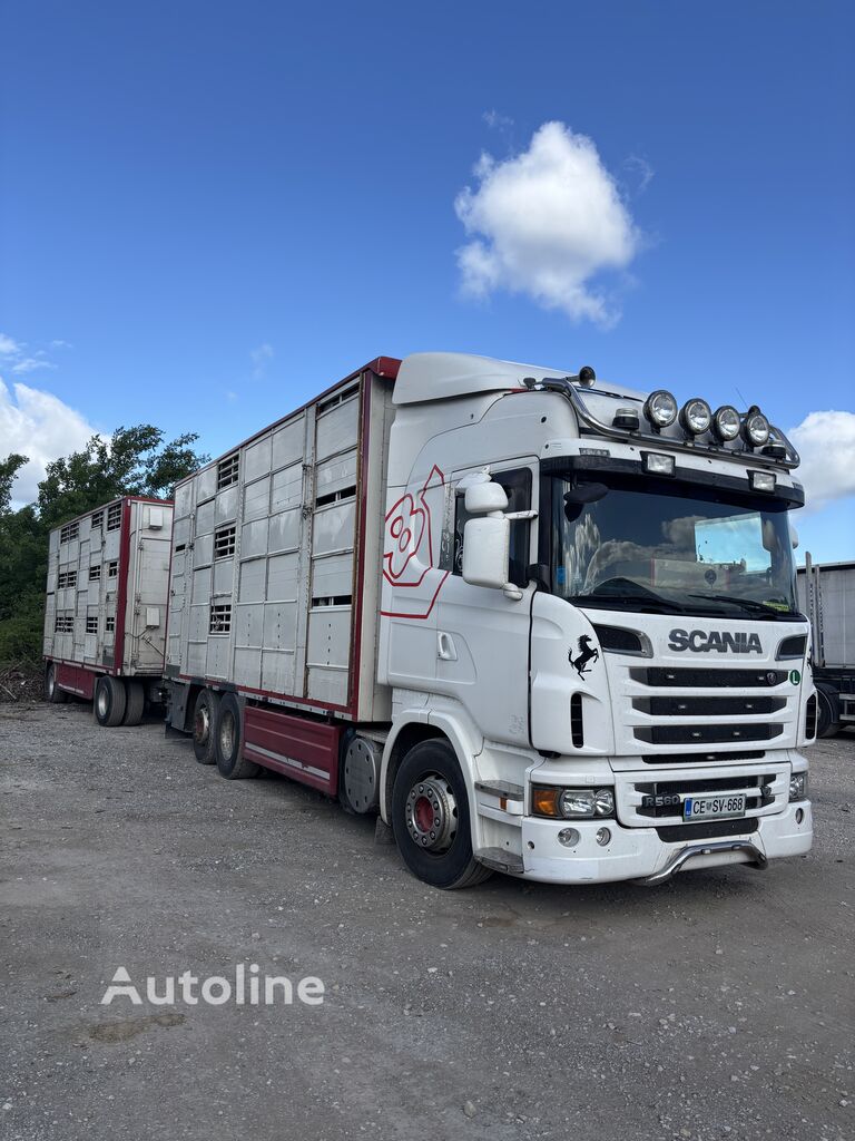 Scania R 560 kamion za prevoz stoke + prikolica za prevoz stoke