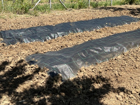 Agrotekstilna folija 1.5x10m Premium ground cover ( VLKAF150X10-premium )