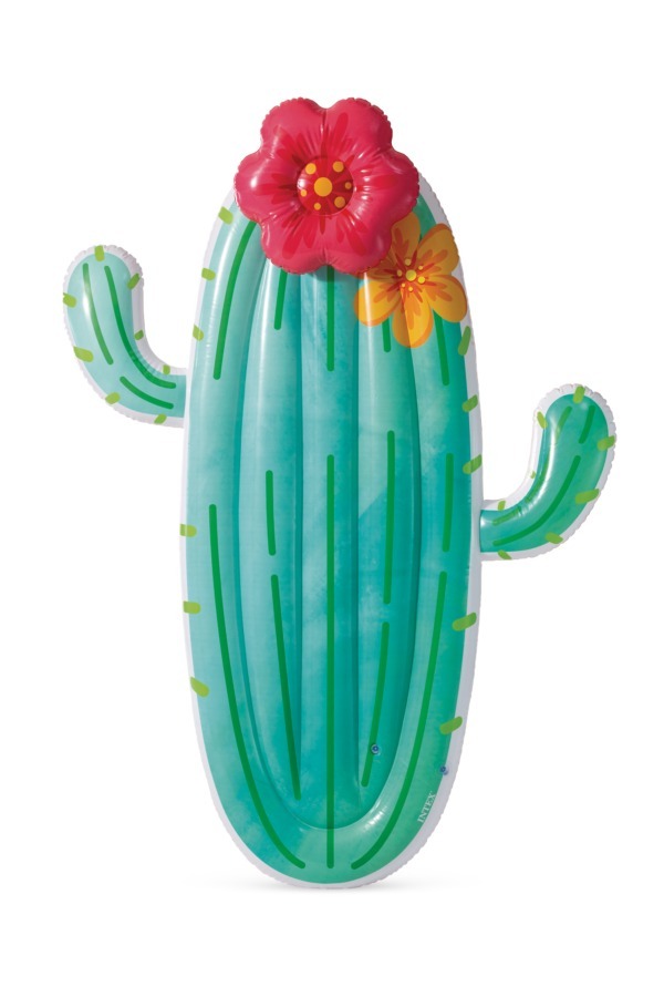 INTEX CACTUS FLOAT 58793EUID: EK000857706