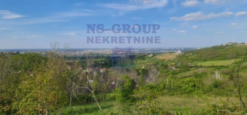 Salaksije, Rakovac