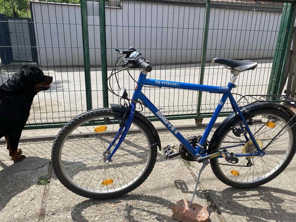 KonBIKE muški/uni treking/MTB bicikl, čelični ram TIG Oversize, plave