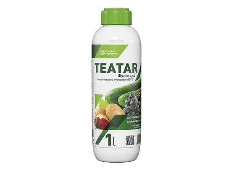 TEATAR 1/1