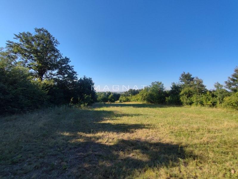 Plac u blizini Kosmaja - Amerić, 54ara ID#5664
72.000 €