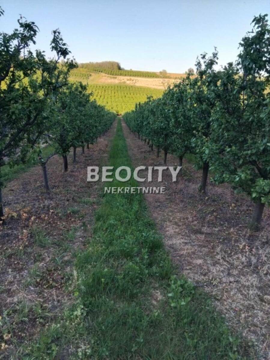 Plac, Irig - Rivica | Prodaja · 107000m² · 850.000€