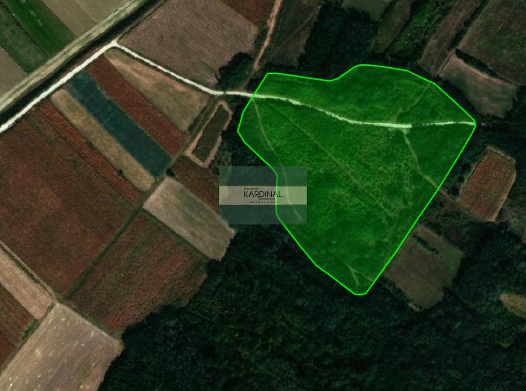 Plac, Jagodina - Dragocvet | Prodaja · 4.000€