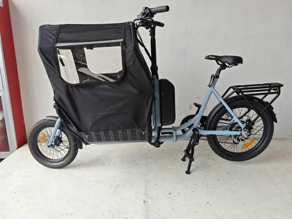 Cargo E bike