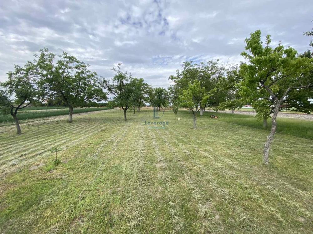 Plac na prodaju, Palilula, Borča, 425.000€