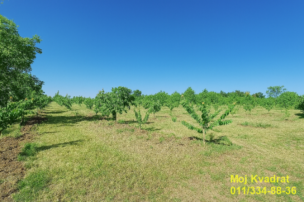 Plac na prodaju, Grocka, 45.000€