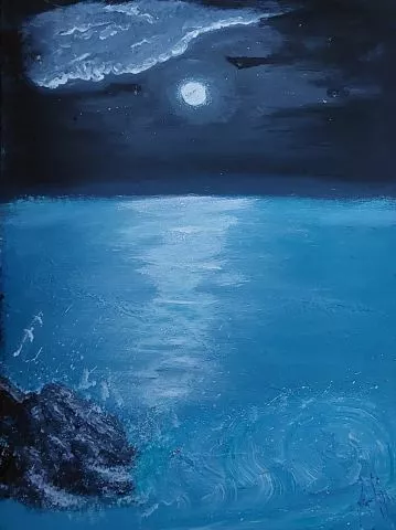 „GRANICA TIŠINE“ AKRIL NA PLATNU ( 30X 40 CM)