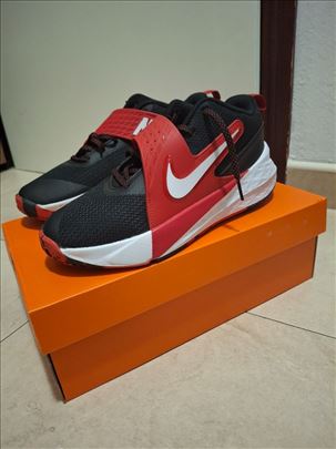 Nike patike Team Hustl D12(GS)